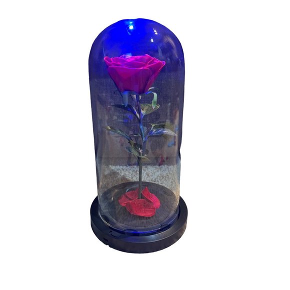 Holiday | Mothers Day Rose Gifts For Mom Beauty And The Beast Rose ...